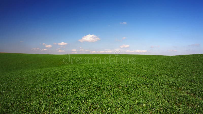 Sky over field stock image. Image of idyll, summer, spring - 4964097