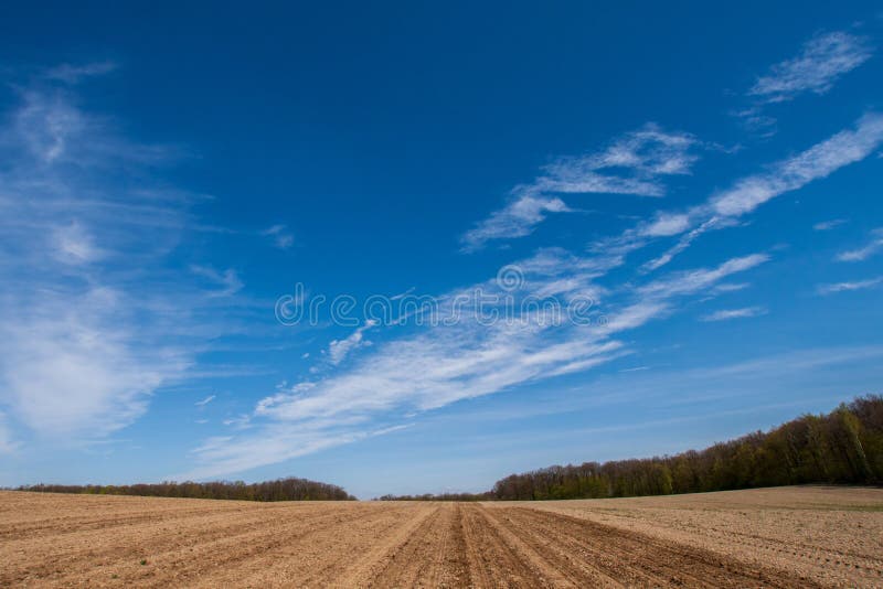 Sky over the field stock photo. Image of fields, grass - 54682228