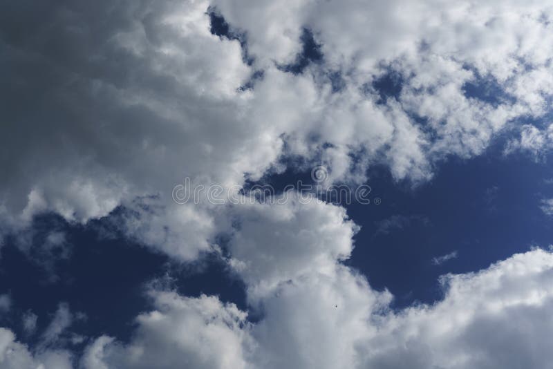 Sky is Overhead . White Cumulus Clouds Floating Across the Sky, Daytime ...