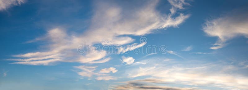Sky Panorama with High Cirrus Clouds, Lighted from Sinking Sun Stock ...