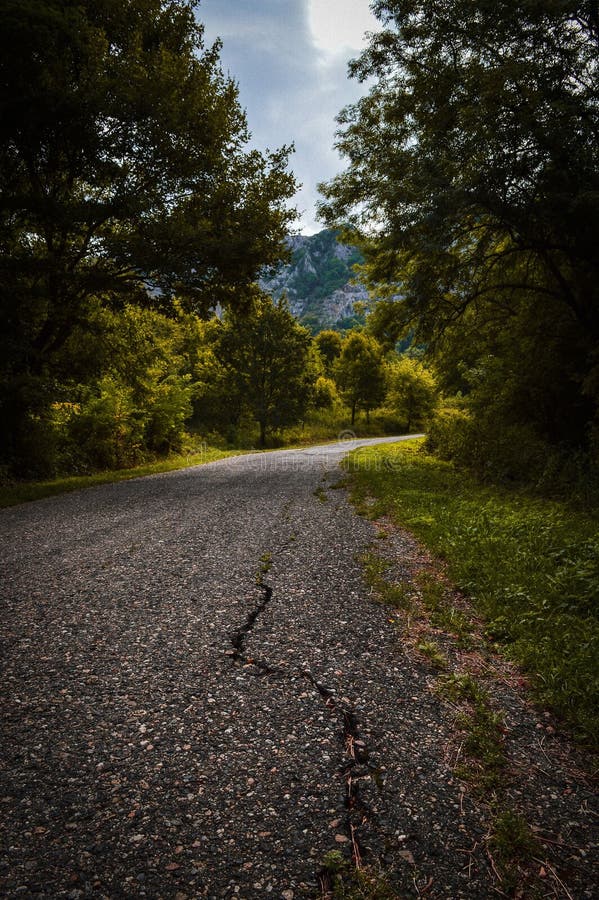 Road, Path, Tree, Sky Picture. Image: 134701316