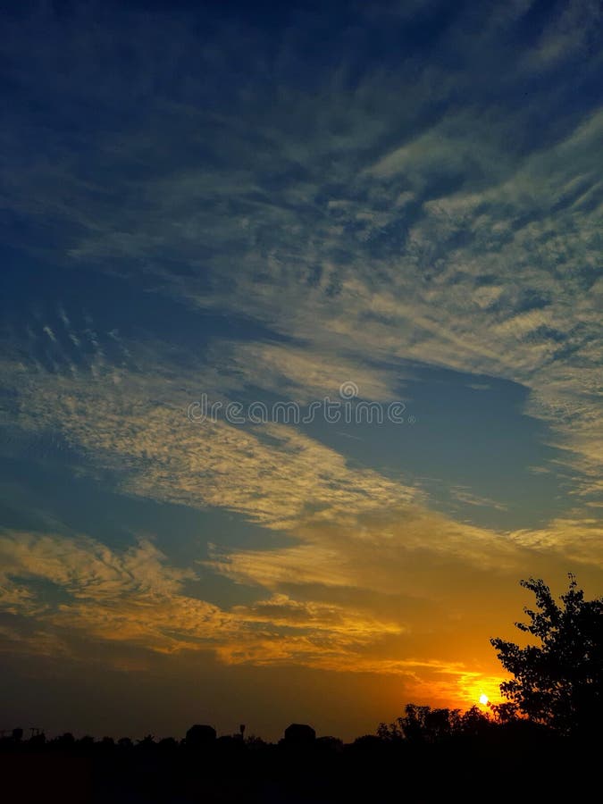 Multiple Leaves Logo Black White Stock Photos - Free & Royalty-Free ...