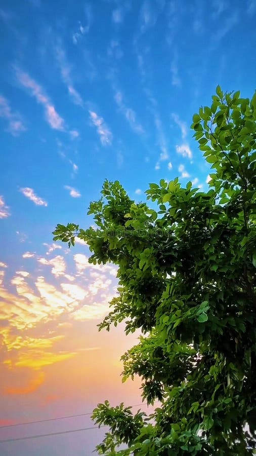 Sky Photo in the Afternoon NATURAL THEMES Stock Photo - Image of ...