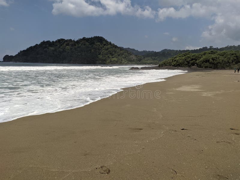 Brown sand beach stock photo. Image of vacation, mudflat - 202671556