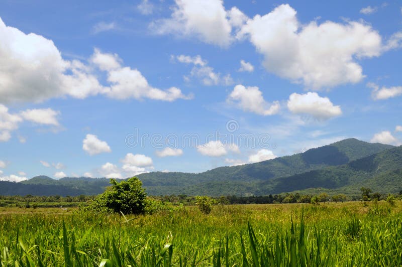 Sky and prairie stock image. Image of peaceful, peace - 19563907