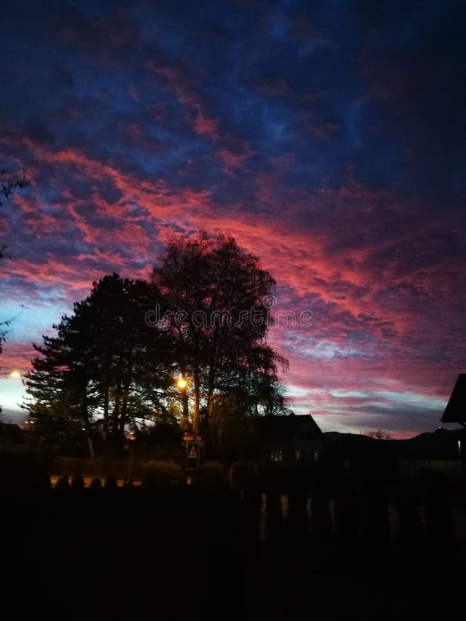Sky Red Fire Burn Blue Tree Light Lantern Summer Stock Image - Image of ...