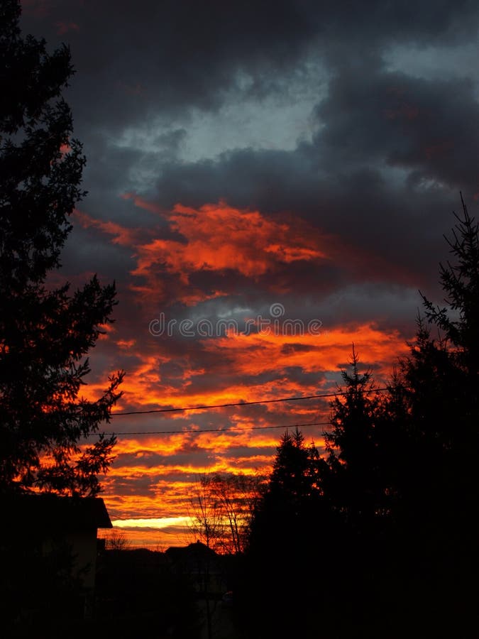Sky, Red Sky at Morning, Nature, Afterglow Stock Photo - Image of tree ...
