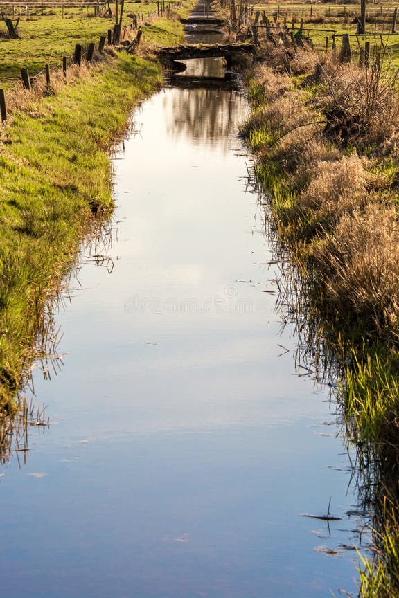 Sky is Reflected in Man-made Stream Stock Image - Image of fauna, moat ...