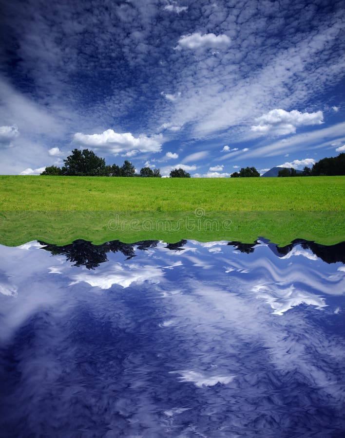 Blue Sky and Tree in the Field Stock Image - Image of flora, panoramic ...