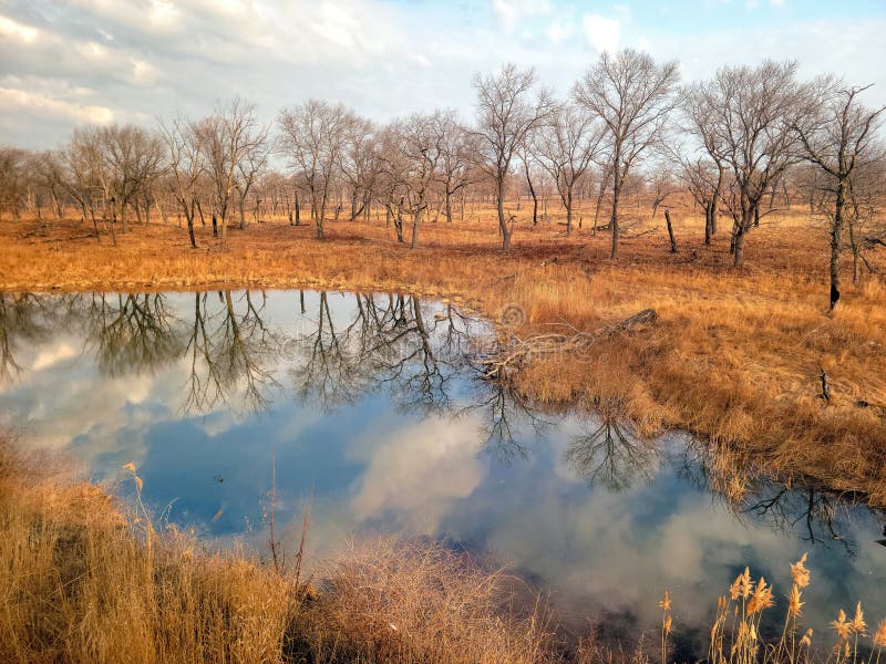 Sky Reflection in Pond Water Stock Image - Image of outdoor, still ...