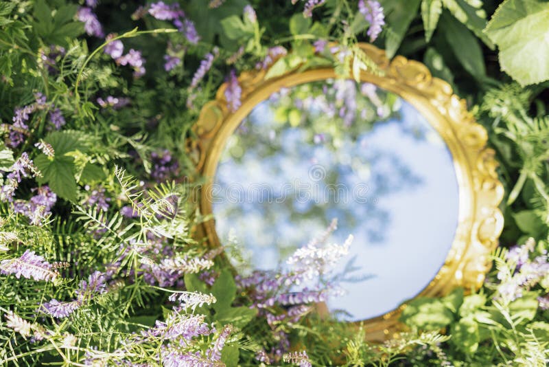 Sky Reflection in Round Mirror on Spring Field Stock Image - Image of ...