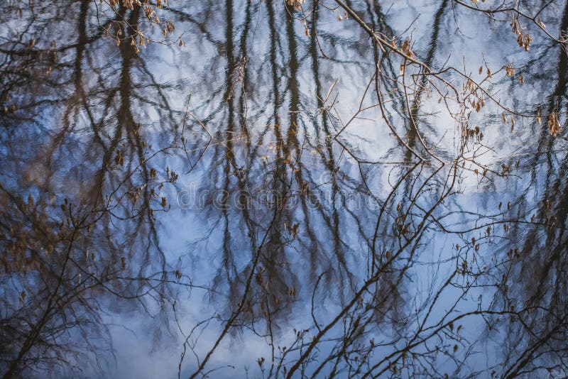 Sky Reflection in Water. Early Spring. Painting Style. Stock Photo ...