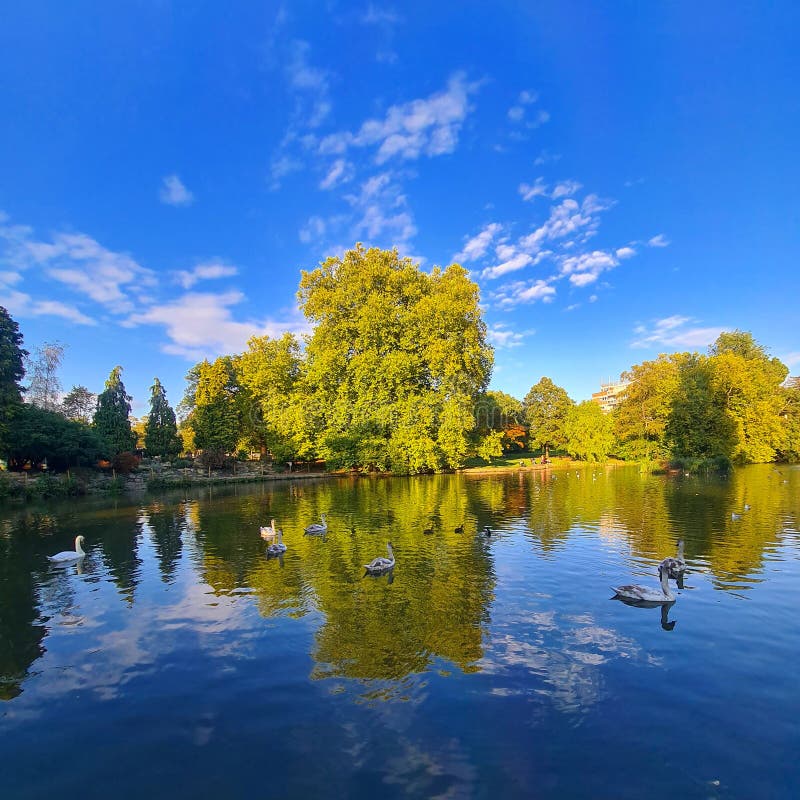 Sky reflects in the water stock photo. Image of park - 268208486