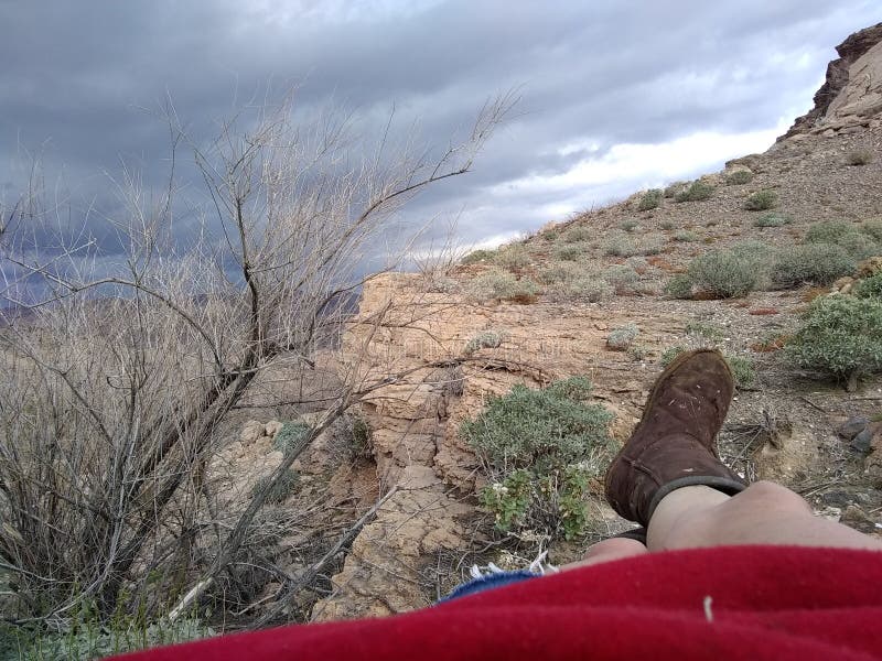 Relax stock image. Image of trees, relax, mountains - 146150979