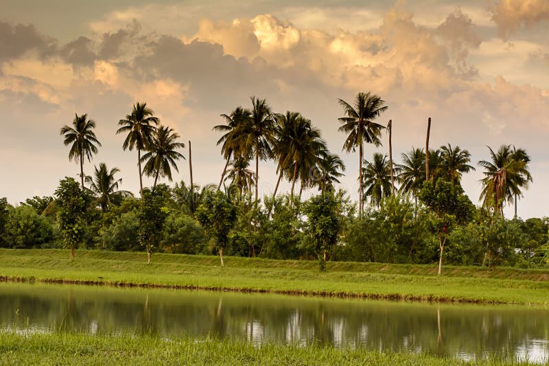 The Sky S Overcast and Shadow Stock Image - Image of darkness, rain ...