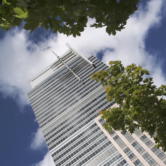 Sky scraper stock photo. Image of business, modern, scraper - 815466