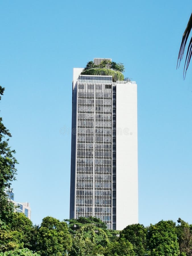 Sky Scraper. Rooftop Greens Stock Image - Image of neighbourhood ...
