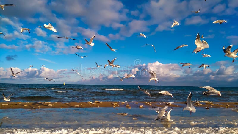 Sky, Sea, Ecosystem, Water Picture. Image: 120115286