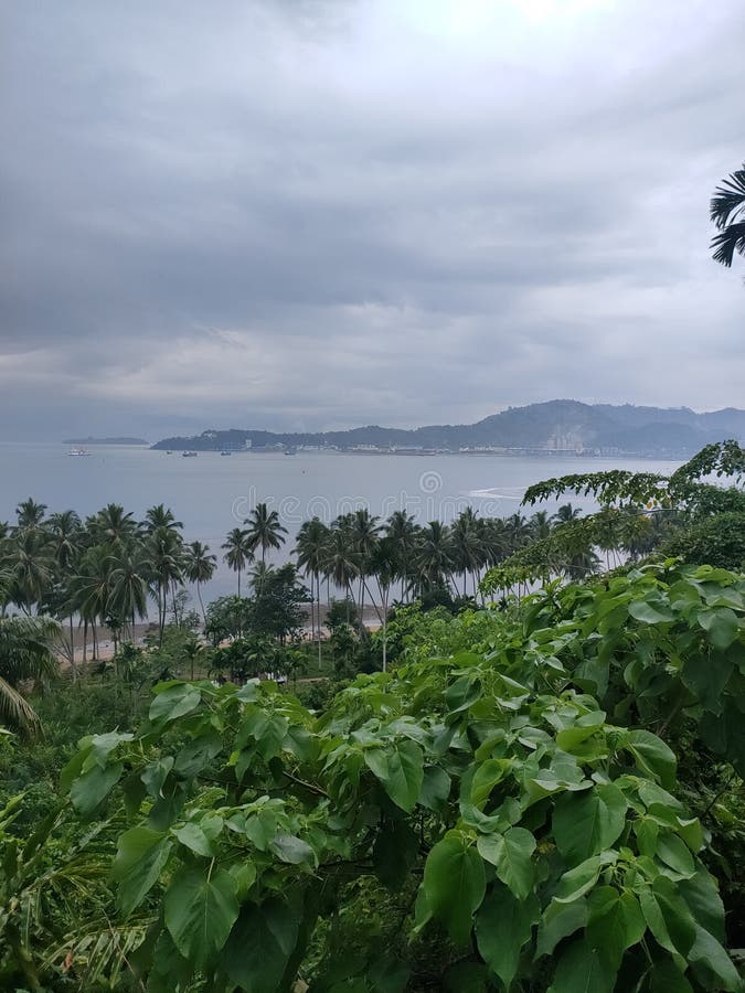 Sky sea and tree stock photo. Image of garden, flower - 214560342