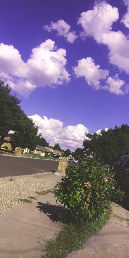 Sky editorial photography. Image of blue, tree, clouds - 160606502