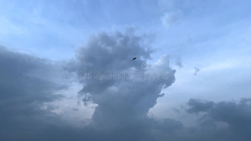 The Sky Stretches Endlessly Above the Rice Fields, a Vast Canvas of ...