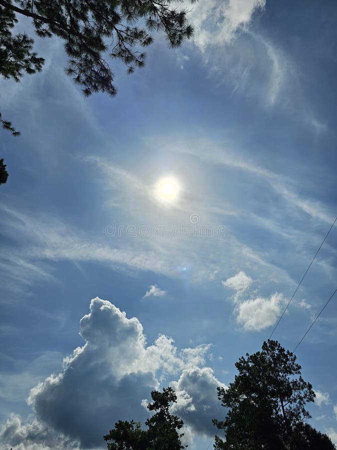 Sky Sun Clouds Trees Sun Shine Stock Photo - Image of shine, clouds ...
