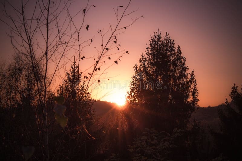 Sky, Sun, Tree, Sunrise Picture. Image: 109022901