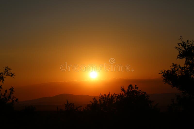 Sky, Sunrise, Sun, Dawn stock photo. Image of tree, savanna - 119035028