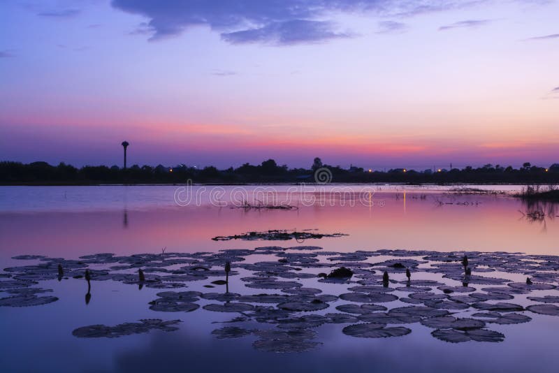Sky Sunset, Cloud Blue Beautiful Day Stock Photo - Image of blue, cloud ...