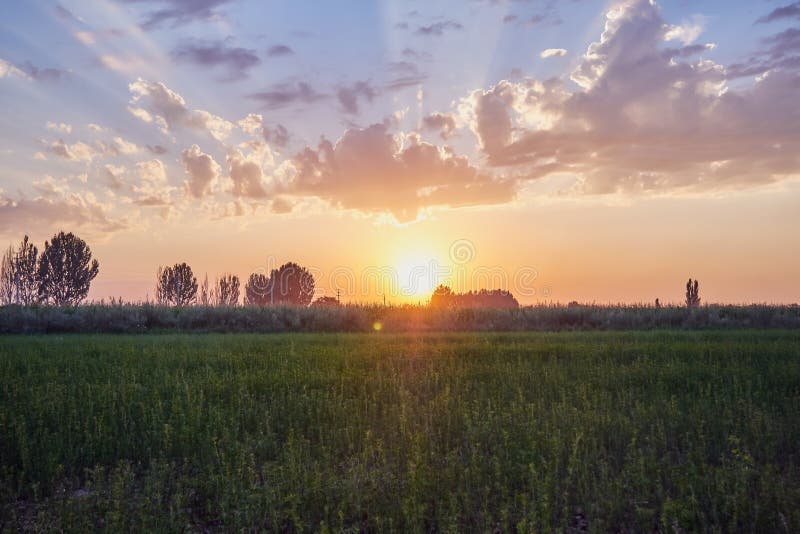 Dramatic Sunset on the Open Field Stock Photo - Image of season ...