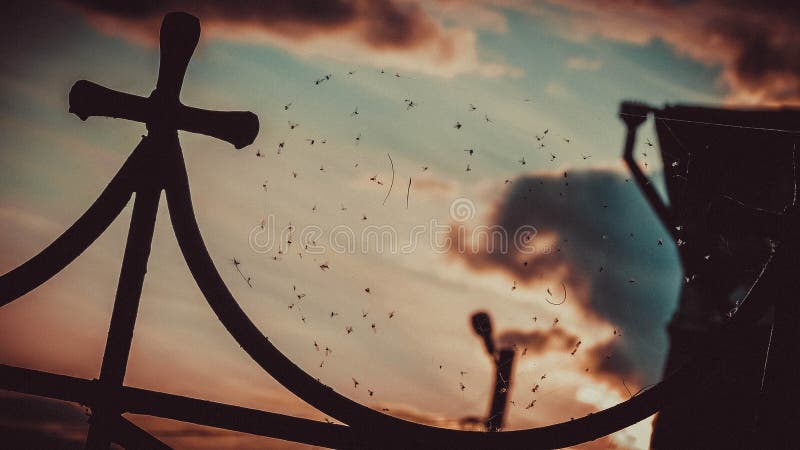 126 Spider Web Church Stock Photos - Free & Royalty-Free Stock Photos ...