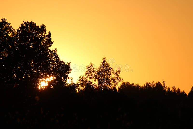 The sky at sunset stock photo. Image of beautiful, nature - 125372146