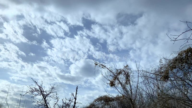 Blue Sky and White Clouds in Early Spring. the Sky and the Tops of ...