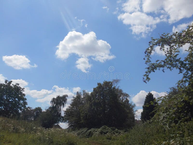 Sky and tree stock image. Image of plateau, mountain - 192600425