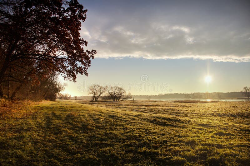 Sky, Tree, Field, Morning Picture. Image: 106389399