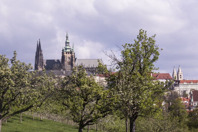 Sky, Tree, Spire, City Picture. Image: 107901461