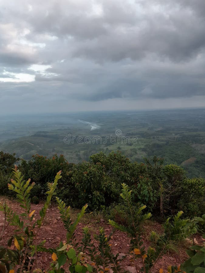 Sky Tree Sun River View Nature Stock Image - Image of view, river ...
