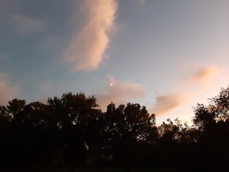 Sky Trees Clowds Dusk Day Moon Stock Photo - Image of dusk, clowds ...