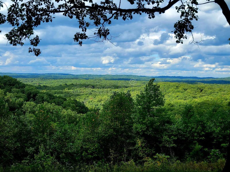 Sky trees distant peaceful stock image. Image of morning - 257761449