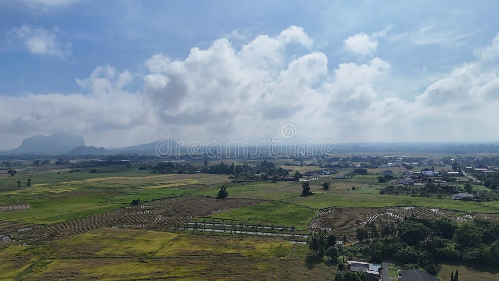 292,483 Pictures Bearco Stock Photos - Free & Royalty-Free Stock Photos ...