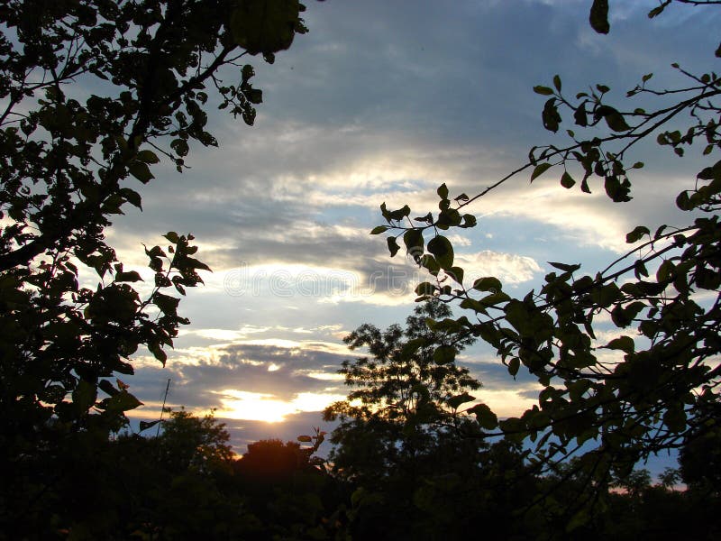 The sky and trees at dusk. stock image. Image of dusk - 148370347