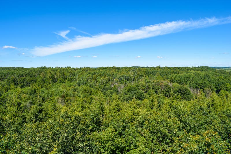 Sky and trees Lithuania stock photo. Image of natural - 107799704