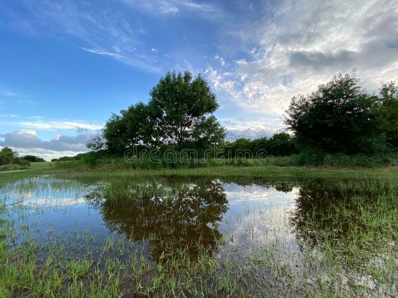 Sky and Trees Reflected on the Marsh with Mountains in the Background ...