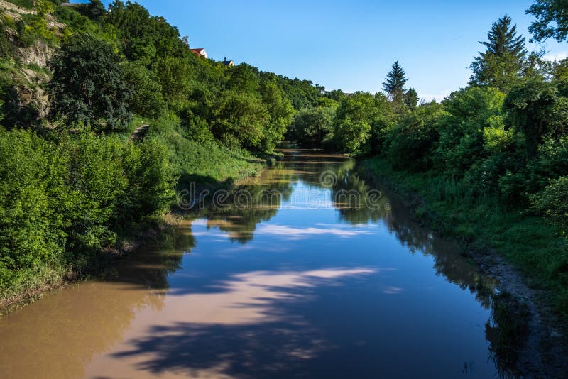 Sky, Trees and Shrubs are Reflected in the Calm Waters of a Small River ...