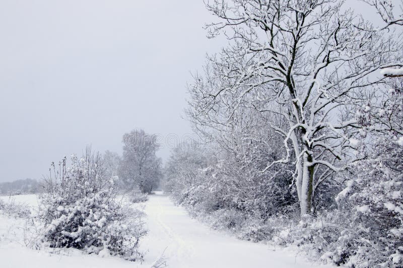 The Sky Turns Blue after Snowfall in November Stock Photo - Image of ...