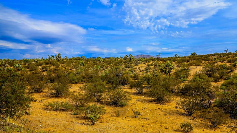 Sky, Vegetation, Ecosystem, Shrubland Stock Image - Image of ecoregion ...