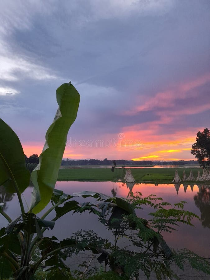 Sky is very beautiful stock image. Image of leaf, autumn - 235096135