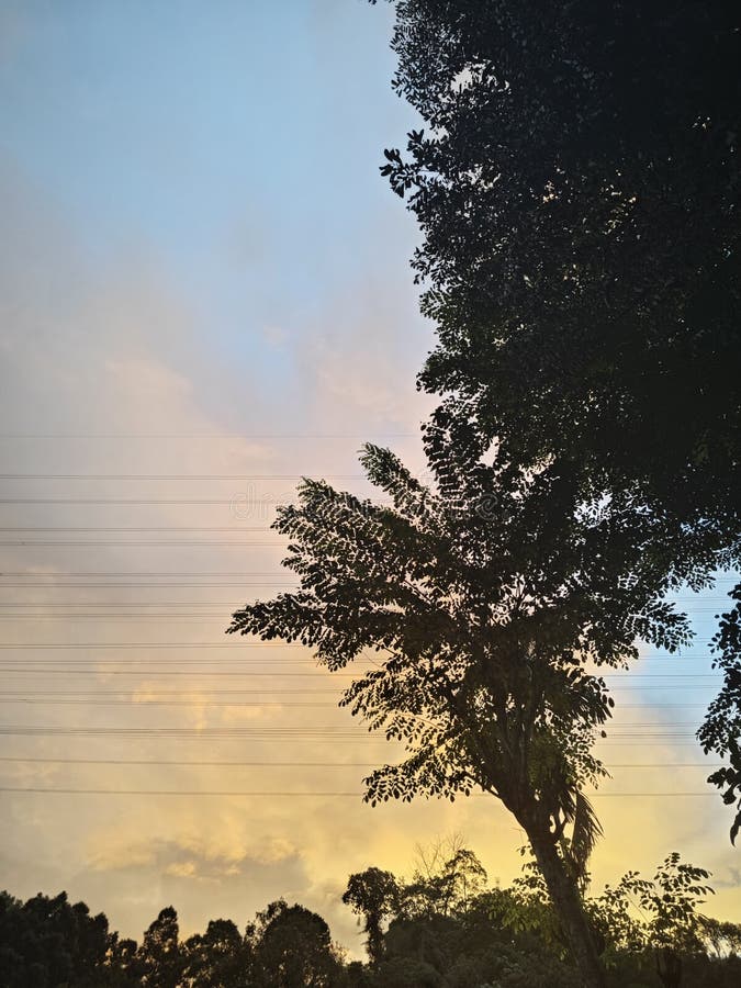 Sky View in the Evening with Some Shades Tree Stock Image - Image of ...