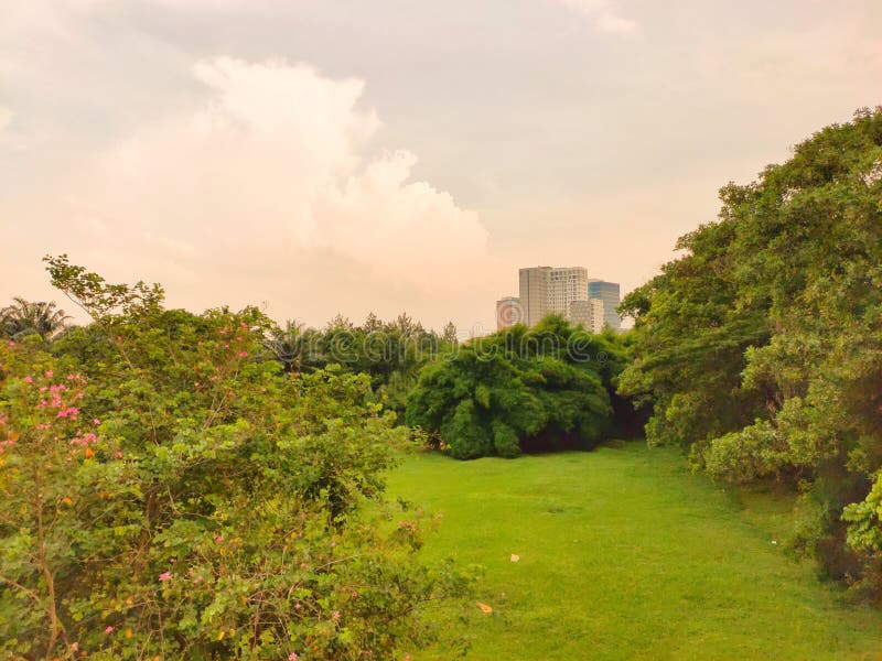 Sky view from rooftop stock image. Image of sunlight - 200884269