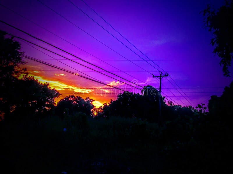 Skyberry Stock Photos - Free & Royalty-Free Stock Photos from Dreamstime